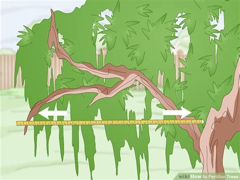 How To Fertilize Trees Steps With Pictures WikiHow