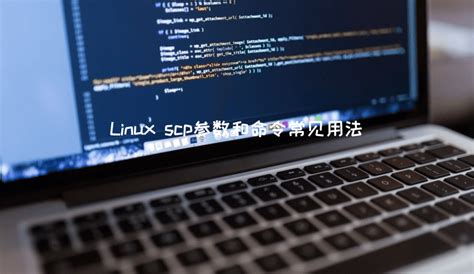 Linux Scp参数和命令常见用法老蒋部落