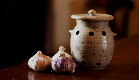 Apprendre à Bien Conserver Lail Pot à Ail Poterie Navarraise