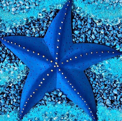Shades Of Blue Criaturas Marinas Bonitas Estrellas De Mar Dibujos