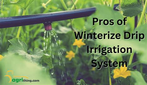 Orbit Drip Irrigation Winterization At Nick Lopez Blog