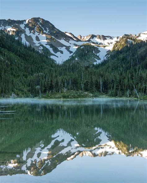 Skinner Sightings Royal Basin Olympic National Park