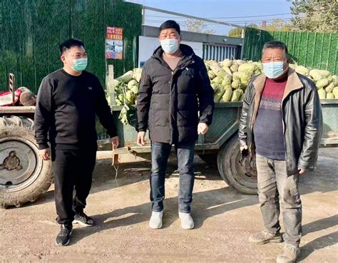 市委党校：助农纾困解民忧 化解滞销展担当 中华龙都网 周口报业传媒集团主办 河南省重点新闻网站