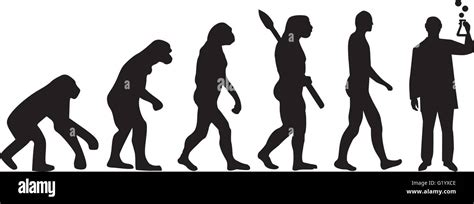 Chemistry Laboratory Evolution Stock Vector Image And Art Alamy