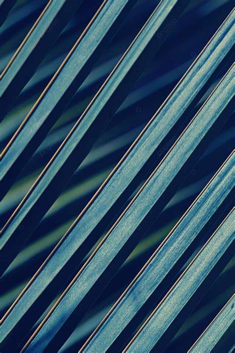 Green Coconut Leaf Pattern Leaf Coconut Palm Tree Striped Photo Background And Picture For Free