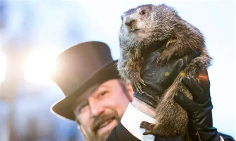 Groundhog Day 2023 When Is It Celebrated Where And What Is The