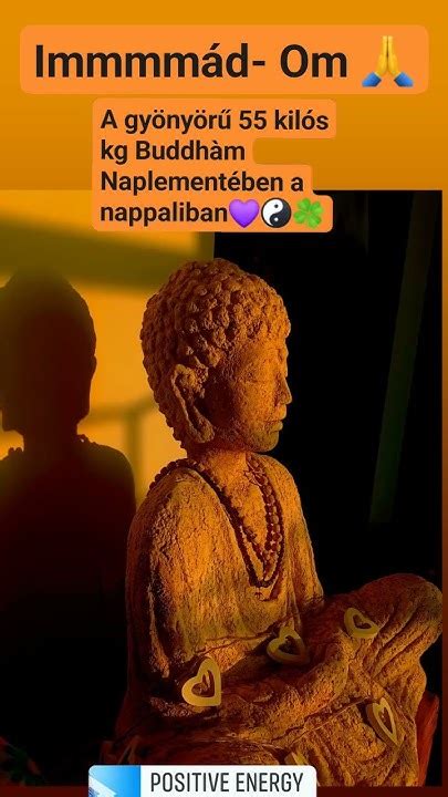 Àldott Estét Követőimnek Nagy Szeretettel 🪬📿 🙏💜☯️🍀 Youtube