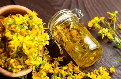 Natural Herbal Extract Packaging Type Bottle Packaging Size 800gm