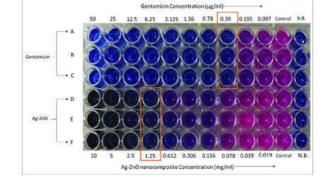 Mic Determination Using Resazurin Based 96 Well Plate Method Download Scientific Diagram