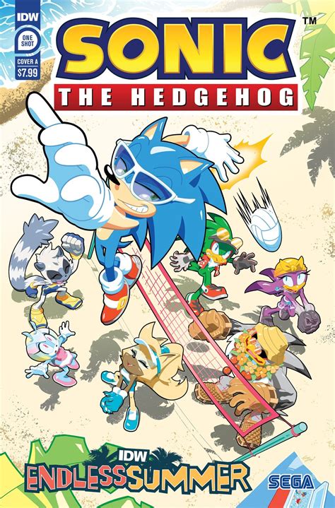 Sonic The Hedgehog Endless Summer Idw Sonic Hub Fandom