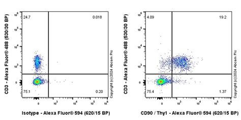 Alexa Fluor® 594 Anti Cd90 Thy1 抗体 Epr28145 53 Ab317533