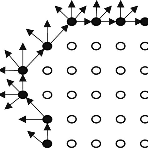 Figure Of Boundary Representation Download Scientific Diagram