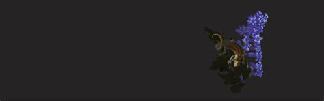 Abdominal Emergencies After Abdominal Surgery Esr Connect