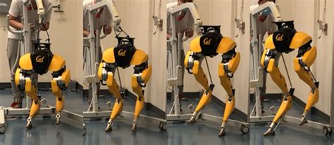 Reinforcement Learning For Robust Parameterized Locomotion Control Of