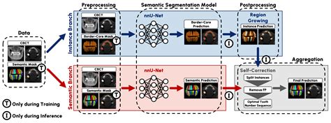 Github Mic Dkfz Toothseg