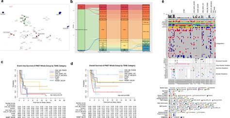 Categorization Of Cohort Into Molecular Groups With Outcomes And