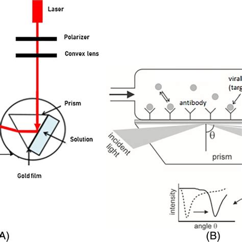 A Schematic Diagram Of The Surface Plasmon Resonance Spr Instrument Download Scientific