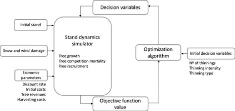 Structure Of The Simulation Optimization System Download Scientific Diagram