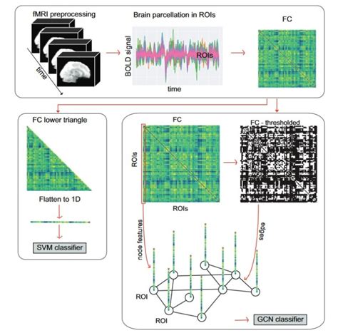 Functional Connectivity Signatures Of Major Depressive Disorder Machine Learning Analysis Of