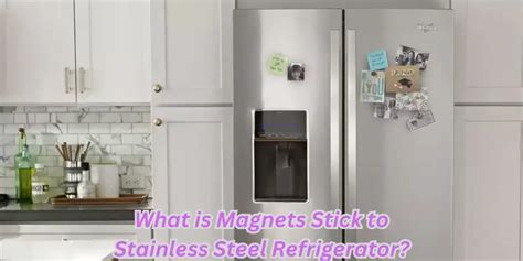 Magnets Stick To Stainless Steel Refrigerator Complete Guide