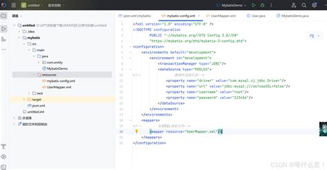 Mybatis快速入门mybatis快速开发 Csdn博客
