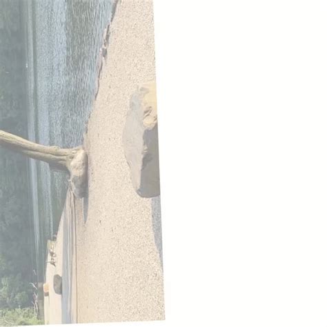 Socialmediamanager Smm Socialmediamarketing Socialmediastrategist… James Spangenberg