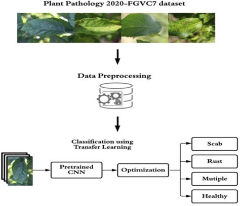 Figure 3 From Classification Of Apple Tree Leaves Diseases Using Deep