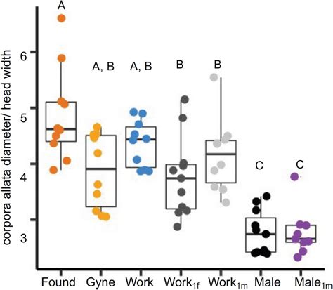 Frontiers Caste Sex And Parasitism Influence Brain Plasticity In A