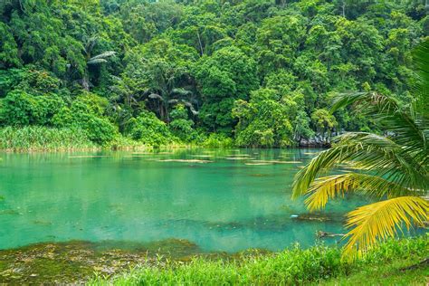 Chew Chew Phuket Added A New Photo Chew Chew Phuket