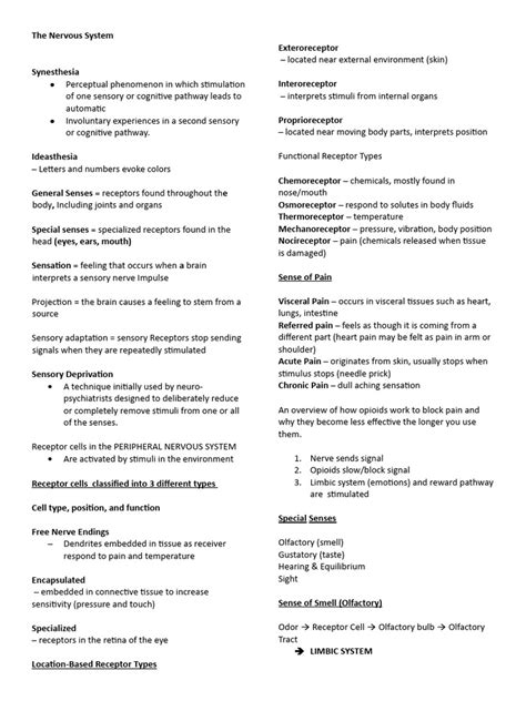 nervous system lecture pdf senses ear