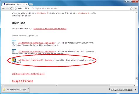 maruton s memorandum [windows]api monitor
