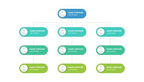 Estructura Empresarial De La Empresa Vector Premium