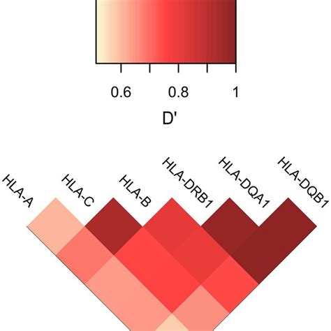 Shematic Representation Of Hla A B C Dqa1 Dqb1 And Drb1 Gene Download Scientific
