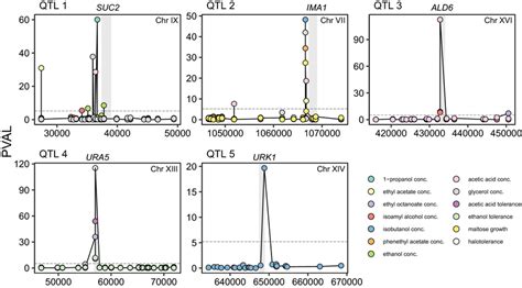 Genome Wide Mapping Identifies Five Candidate Loci At Single Nucleotide Download Scientific