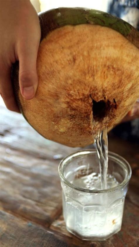 Coconut Water Benefits उन्हाळ्यात नारळ पाणी का प्यावे वाचा फायदे