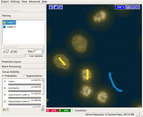 Ilastik Object Classification