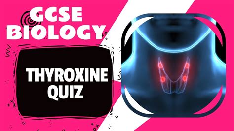 Gcse Biology Quiz [thyroxine] Aqa Paper 2 Science Revision Thyroid Gland Youtube