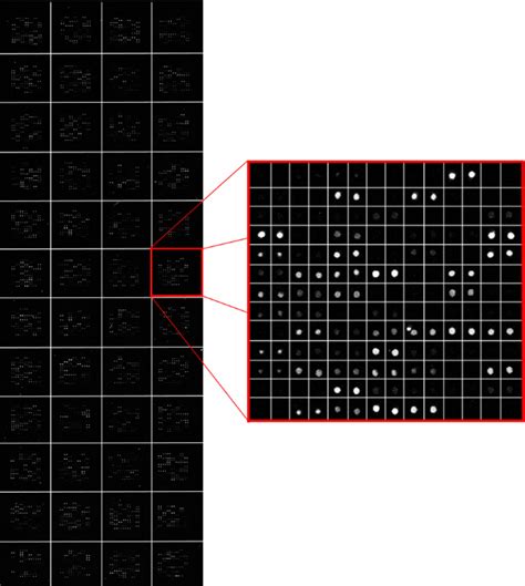 Sub Grid And Spot Detection In One Of The Geo Dataset Images Detected