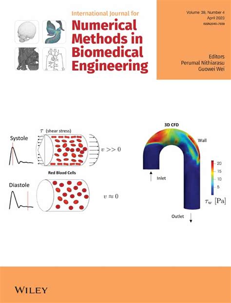 A Modeling Framework For Computational Simulations Of Thoracic