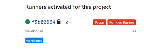 Docker Gitlab Cicd Runner Stuck Stack Overflow