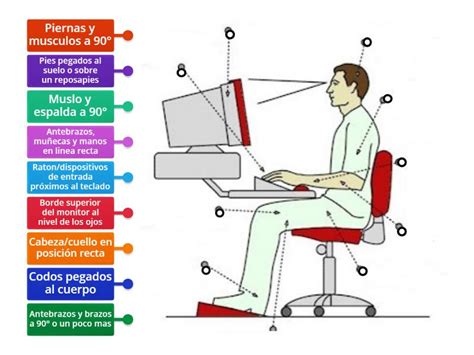 Ergonomia Correcta En El Puesto De Trabajo Diagrama Con Etiquetas