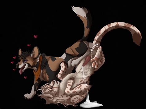Rule 34 African Wild Dog Alternate Species Canid Canine Cheetah Duo