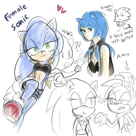 Sonic Rule 63 Sonic The Hedgehog Amino