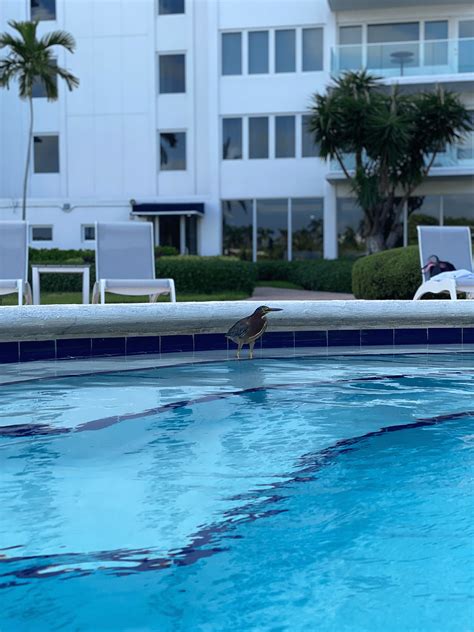 Assignment 4 Reflections Behance Behance