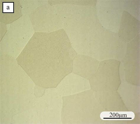 A Optical Micrograph Of A β Solutionized And Quenched Ti 5553 Sample