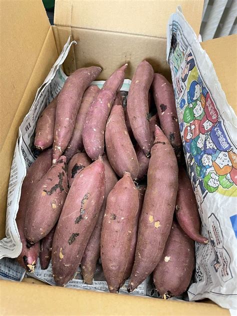 熟成さつまいも1 3kg｜paypayフリマ