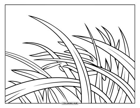1 355 Plant Coloring Pages Free