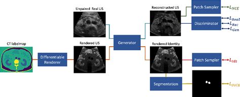 Figure 1 From Lotus Learning To Optimize Task Based Us Representations