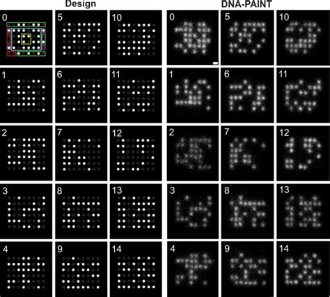 DNA Data Storage Industry Harnessing The Power Of Terabytes Storage Fact MR Blog