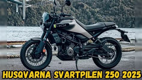 Husqvarna Svartpilen 250 2025 Come With Awesome Features At Budget